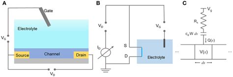The Schematic Configuration Of Oect Sensor A And Its Equivalent