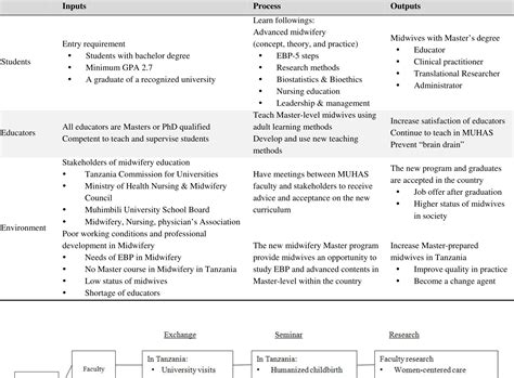 input output model to achieve transformation in midwifery