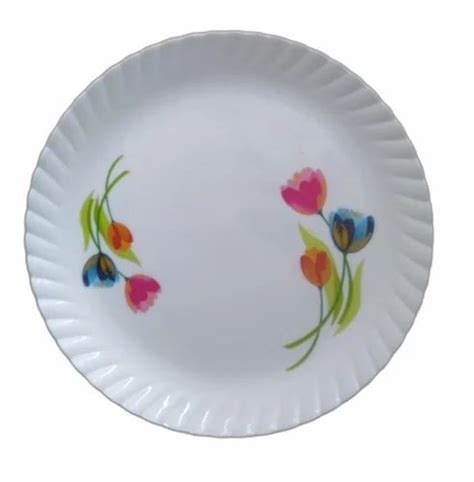 Plastic Catering Plate 12 Inch At Rs 49piece In Ahmedabad Id