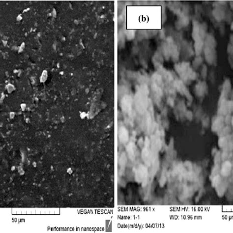 Pdf Enhanced Crude Oil Biodegradation In A Two Liquid Phase