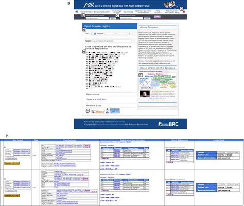 Screenshot Of The Top Page Of MoG Showing The Different Functions Download Scientific Diagram