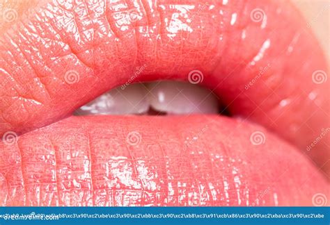 Close Up Perfect Natural Lip Makeup Beautiful Female Mouth Plump Full