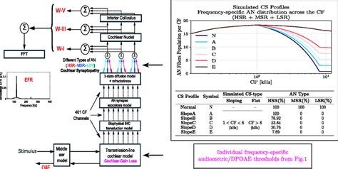 Auditory Model Individualization The Block Diagram On The Left Depicts