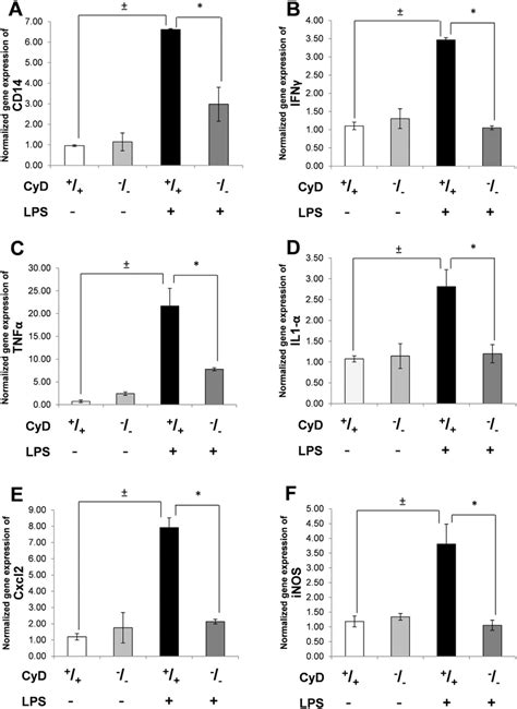 Cypd Regulates Lps Induced Nf κb Mediated Gene Expression The