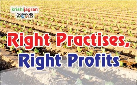 Tribal Farmers Earning Lakhs Through Drip Irrigation