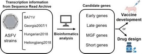 Computational And Structural Biotech Journal On Linkedin Comparative