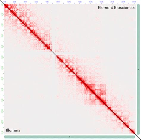 New Sequencing Option For Arima Hic Samples Evaluating The Aviti