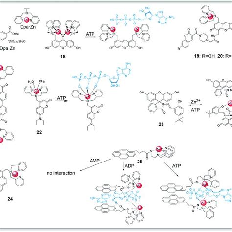 Atp Fluorescent Probes 33 36 Based On Water Soluble Conjugated Polymers
