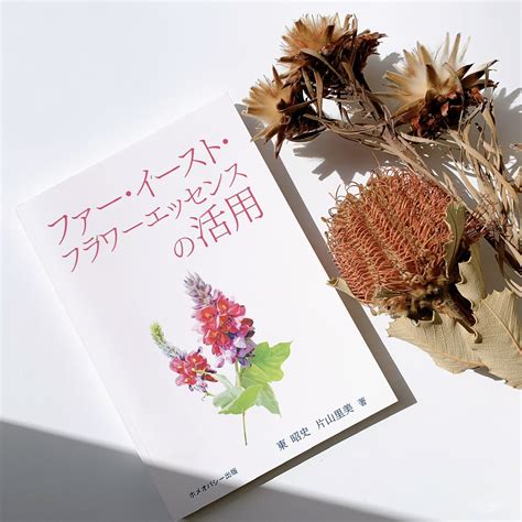 2024年10月新商品のご案内 — ネイチャーワールド