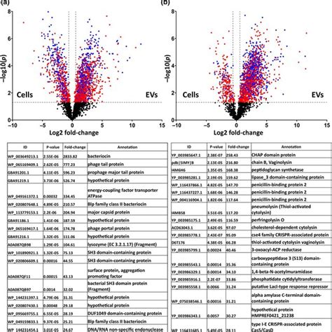 Analysis Of The Differential Abundances Of Proteins Between Cells And