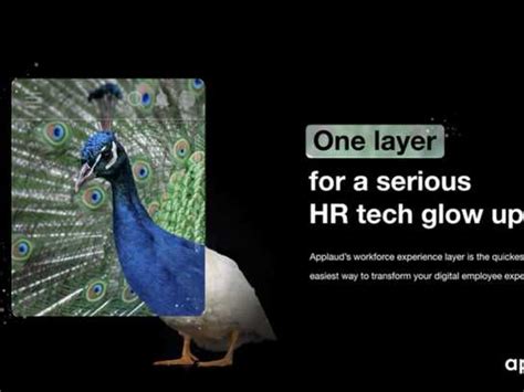 Neo4j Power In Interactivity • Ads Of The World™ Part Of The Clio
