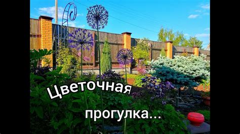 Обзор цветников/ Как живут цветы в деревне?!!/#деревня #flowers #цветы ...