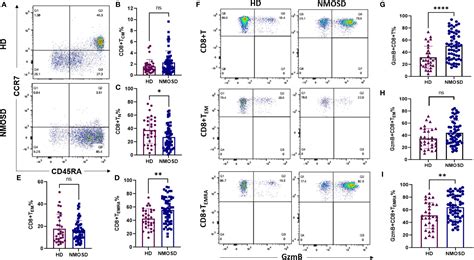 Cd4 And Cd8 T Cells Mediate Distinct Lethal 47 Off