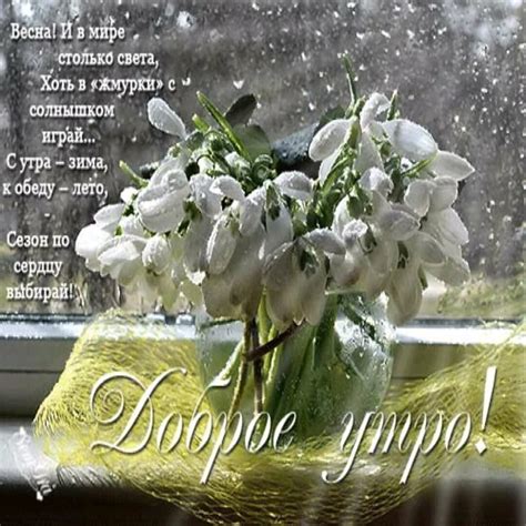 Открытки с добрым дождливым утром 82 фото