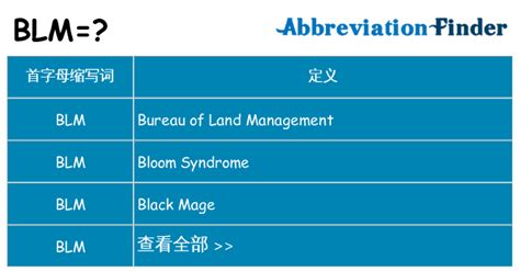 Blm是什么意思