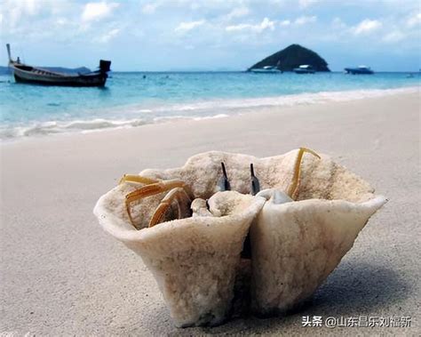 隨筆三篇 每日頭條