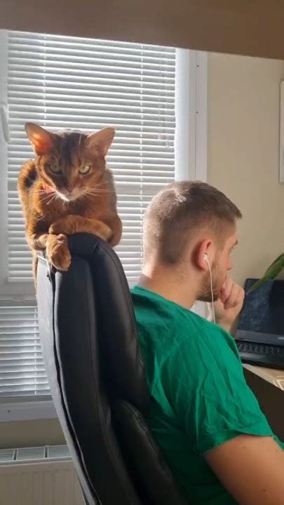 Sviatoslav Vasik On Linkedin Work Life Balance