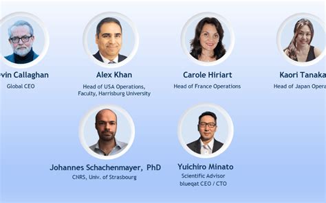 quantescence developing a quantum emulator for low entanglement circuits duality
