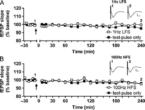 Patterned Stimulation Of The Ob Does Not Result In Synaptic Plasticity Download Scientific