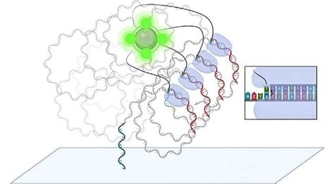 New Chemistries For DNA Sequencing