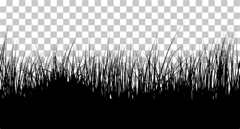 Cute Plant Plant Vector Turf Vector Plant Vector Turf Png And Vector