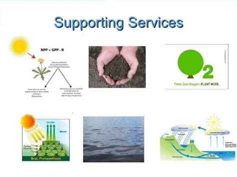 Ecosystem Services Provided By Pollinators Pptx