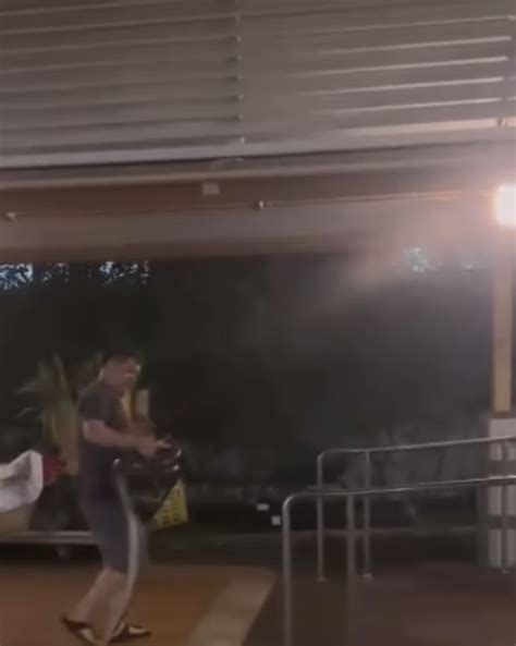 Python Allegedly Gets Hit And Chopped With Cleaver By Man In Boon Lay