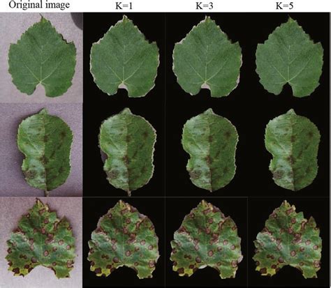 The Effect Of Image Segmentation With Different K Values Download Scientific Diagram