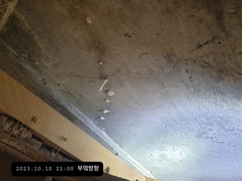 빌라 천장누수관련하여 문의드립니다