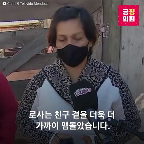 임신한 척 하다가 친구의 아기를 훔치다 한 여성이 주변 모든 사람한테 자기가 임신했다는 거짓말을 해서 믿게 만들었습니다 그 뒤 한 친구의 아기를 빼앗았습니다 그