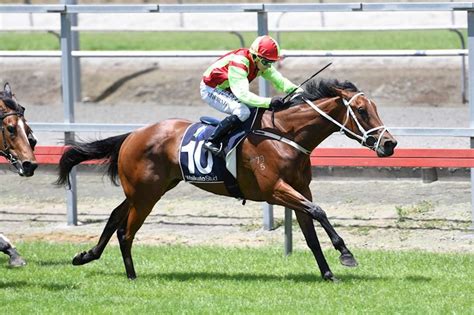 Lot 14 Ruby May Poets Voice Ruby Queen