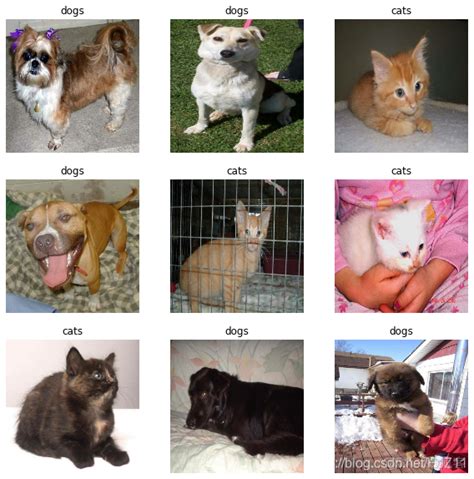 Mobilenetv3large预训练权重下载 Mobilenet V2预训练模型mob64ca13f34c58的技术博客51cto博客