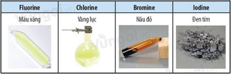Lý Thuyết Nguyên Tắc Sắp Xếp Các Nguyên Tố Hóa Học Hóa 7 Sách Cánh Diều