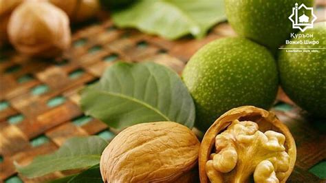 1 Ёнғоқ ғўраси ва ёнғоқ хақида маълумот Youtube