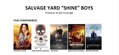 Producer Script Coverage Film Business Plan