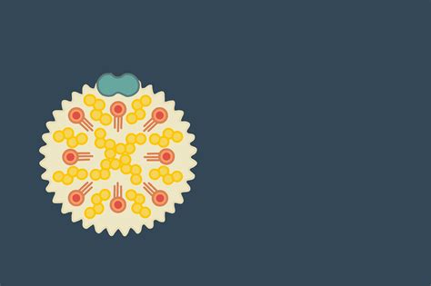 Hdl Vs Ldl Cholesterol Difference And Comparison