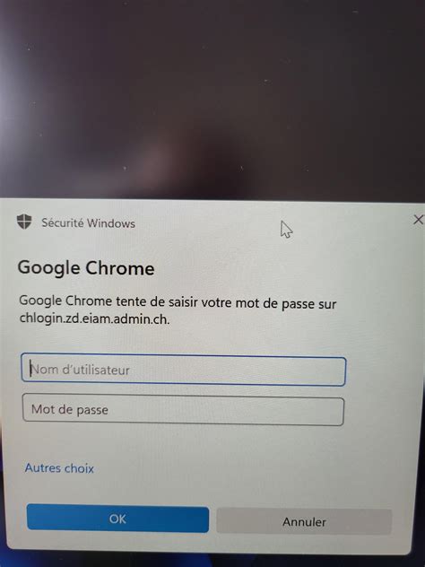 Security Issue With Chrome Rwindows11