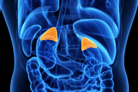Adrenogenital Syndrome Төрөлхийн бөөрний дээд булчирхайн гиперплази