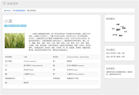 基于深度学习的命名实体识别与关系抽取命名实体识别和关系抽取 Csdn博客