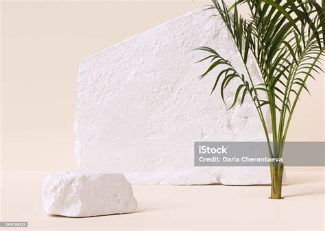 화이트 스톤 연단 제품 프리젠 테이션 제품 디스플레이녹색 열대 식물과 최소한의 장면 개체 배치 모형 3d 렌더링 0명에 대한 스톡 사진 및 기타 이미지 Istock