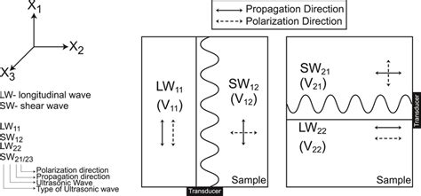 A Schematic Illustration Of The Various Ultrasonic Waves Propagating