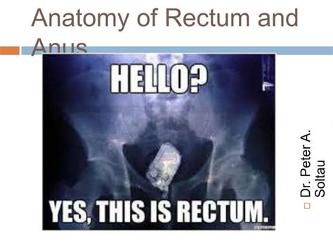 Prepare For The 2025 Icd 10 Cm Code Updates Pdf