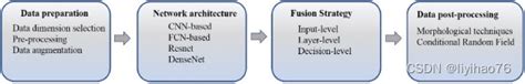 医学多模态融合系列 1 A Review Deep Learning For Medical Image Segmentation