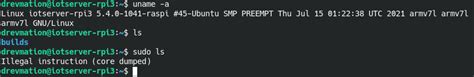 Illegal Instruction Core Dumped On Simple Commands Configuration