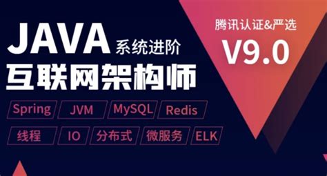 Java Vip