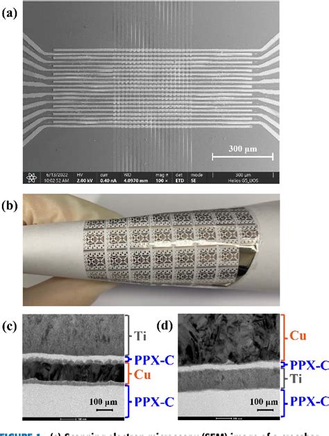Figure 1 From Flexible Parylene C Based Rram Array For Neuromorphic Applications Semantic Scholar