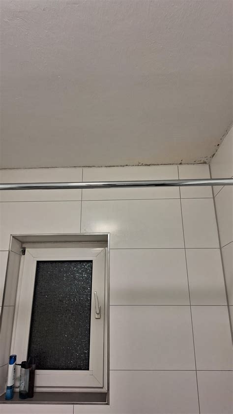 Can I Safely Clean This Mold Rmold