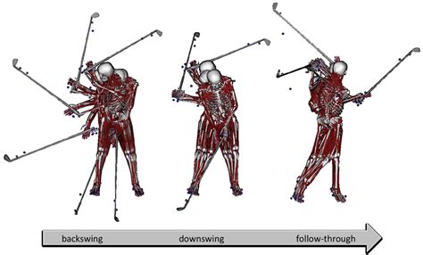 Full Swing Simulation Of A Golf Swing Using The Opensim Musculoskeletal