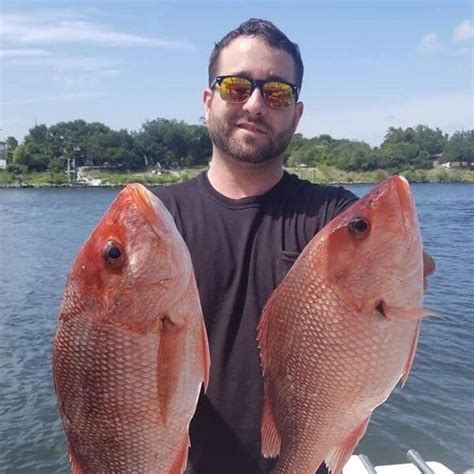 Snapper Species Whats The Difference