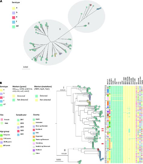 A Unrooted Approximately Maximum Likelihood Phylogenetic Tree Based